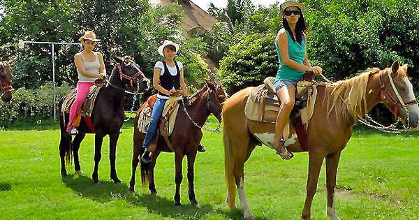 Jungle Horseback Riding Tour in Cozumel, Mexico